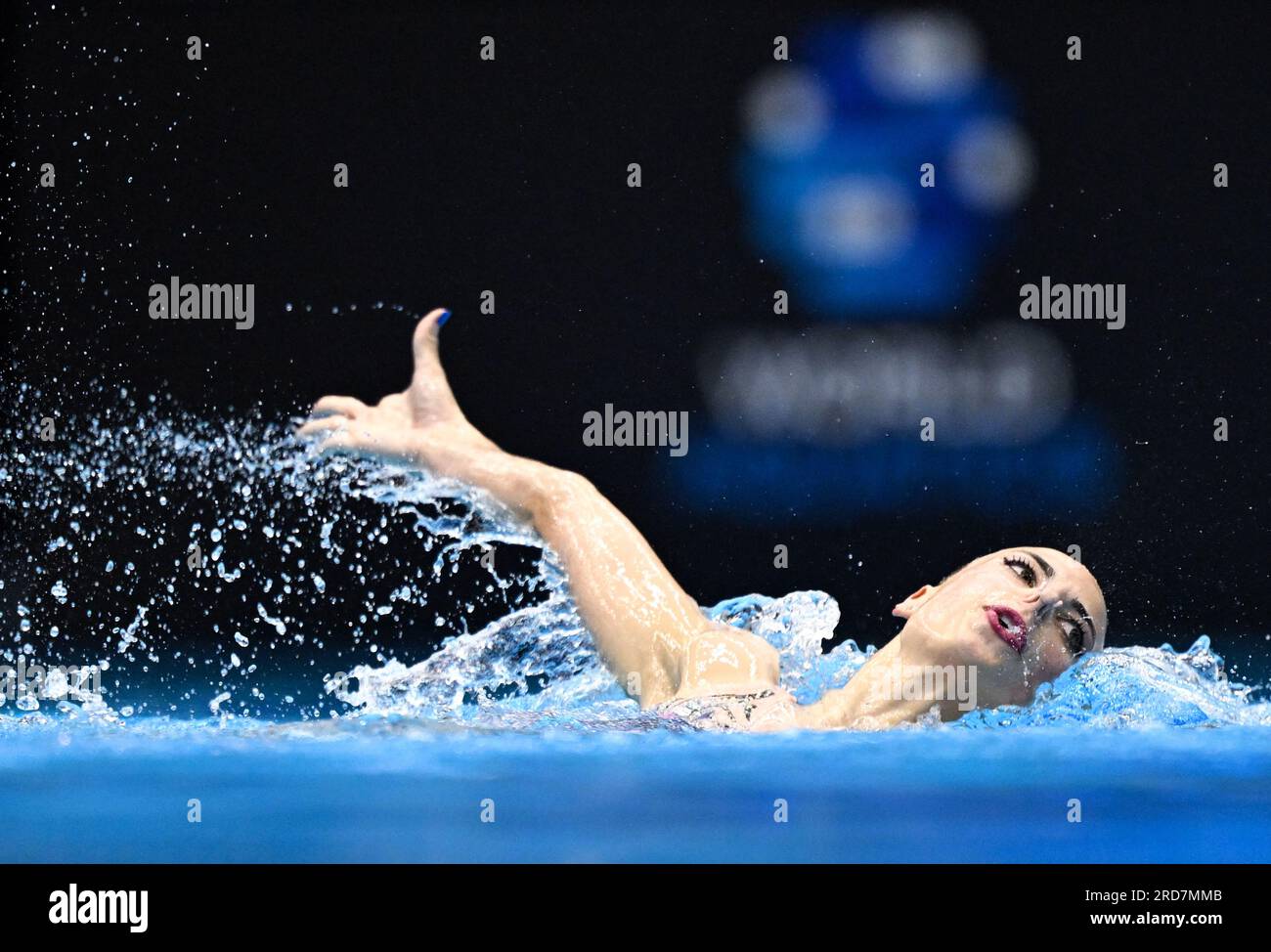 Butorac hi-res stock photography and images - Alamy