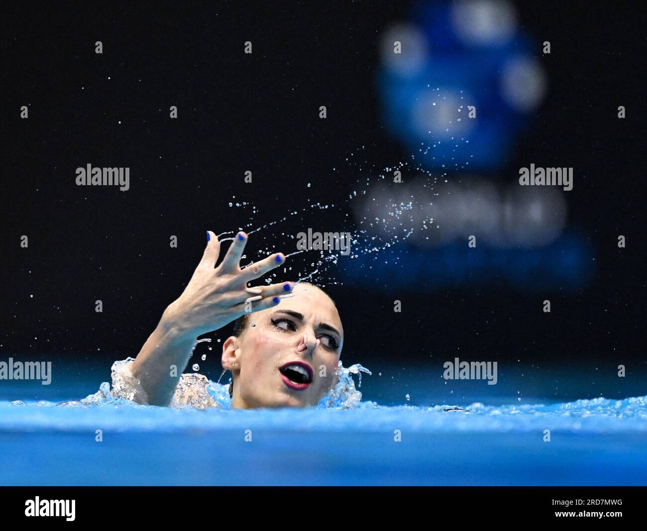 Butorac hi-res stock photography and images - Alamy