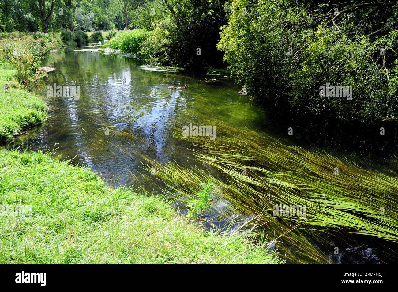 The boyle river hi-res stock photography and images - Alamy