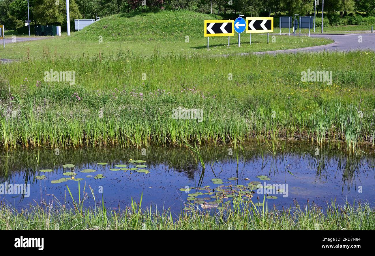 A Small Nature Reserve Beside Merlin Road At Cribbs Causeway Bristol