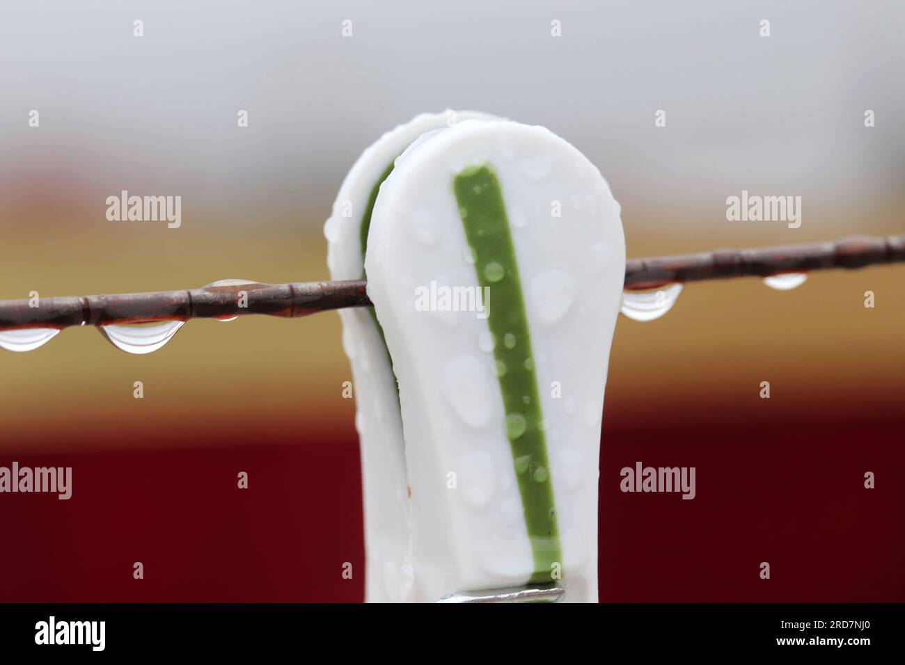 rain-soaked clothespin on a clothesline Stock Photo - Alamy