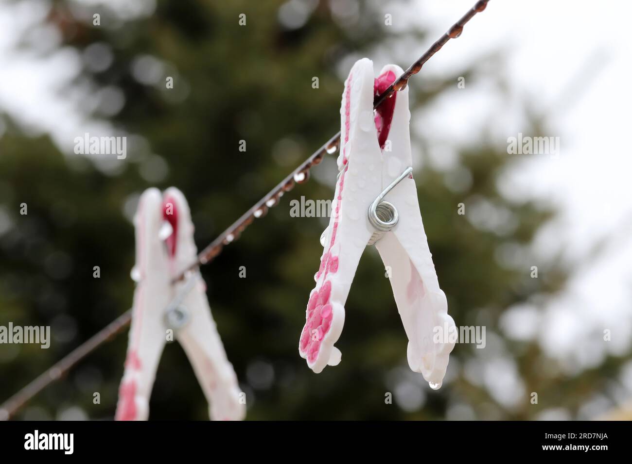 Rain soaked fashion hi-res stock photography and images - Alamy