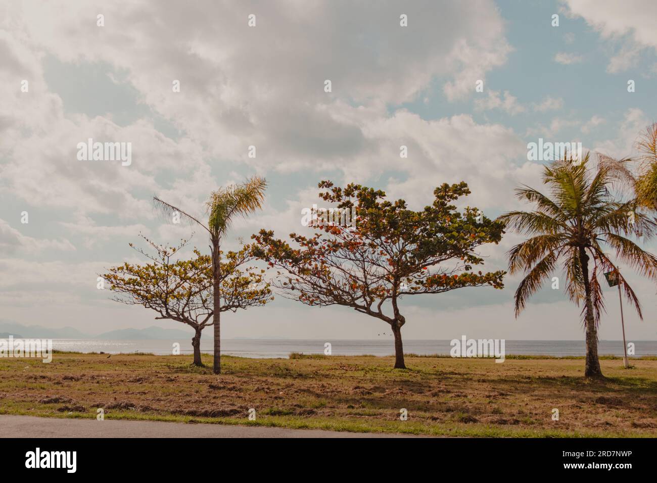 tropical landscape concept Stock Photo - Alamy