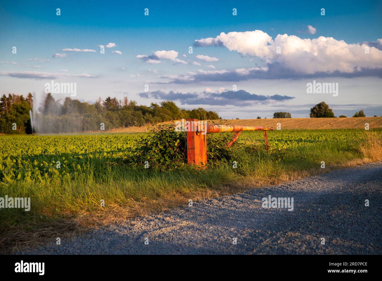 Closed gate barrier red hi-res stock photography and images - Alamy