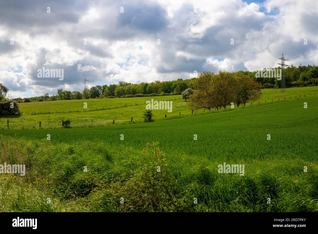 Aerial shot over grassy field hi-res stock photography and images - Alamy
