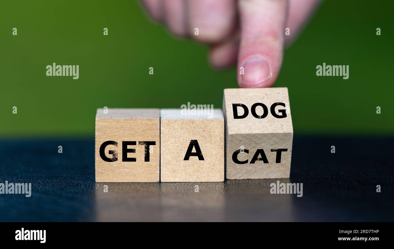Hand turns wooden cube and changes the expression 'get a cat' to 'get a ...