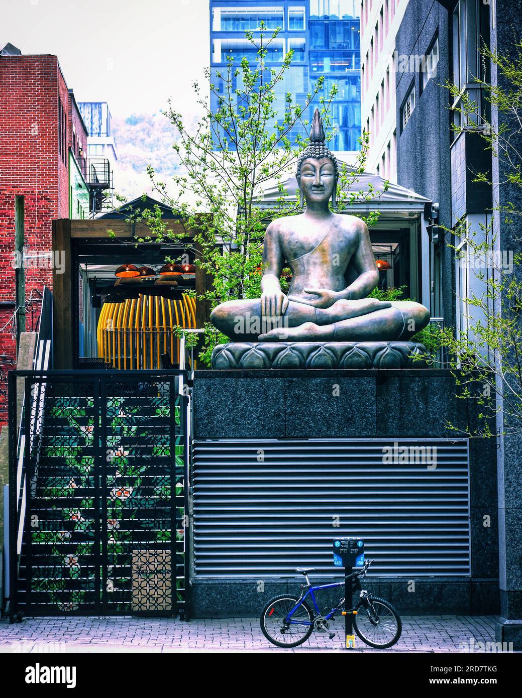 Humanart hi-res stock photography and images - Alamy