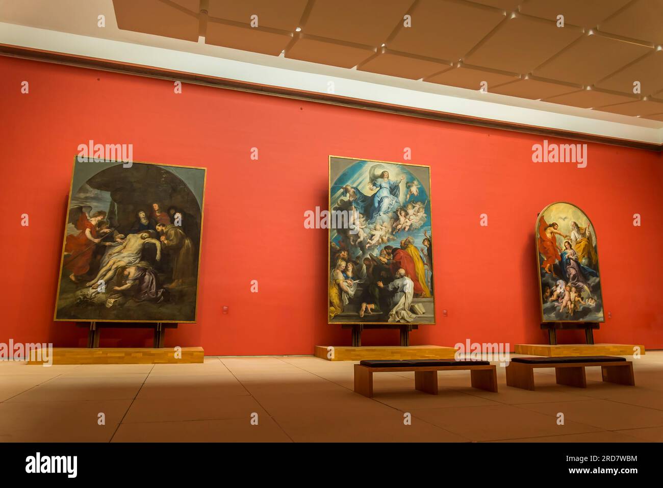 Peter Paul Rubens gallery, Old Masters Museum, Royal Museums of Fine Arts of Belgium, Brussels ...