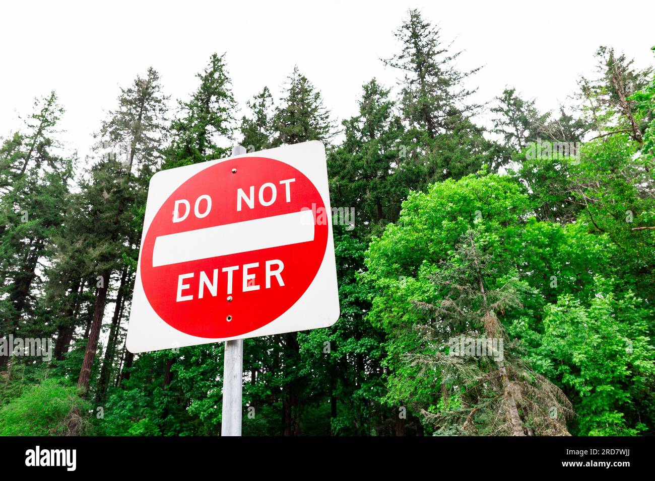 Vivid Red Do Not Enter Road Sign Against the Lush Green Forest ...