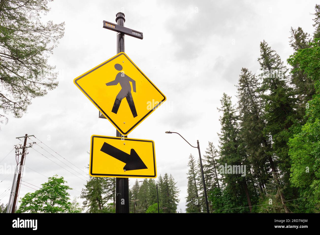 The Iconic Yellow Pedestrian Road Sign at a Local road in the Forest ...
