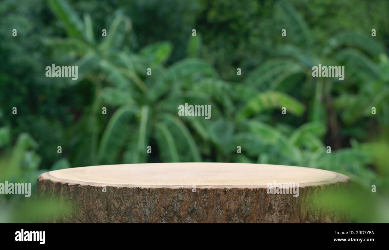 Wood tabletop counter podium floor in outdoors tropical garden forest ...