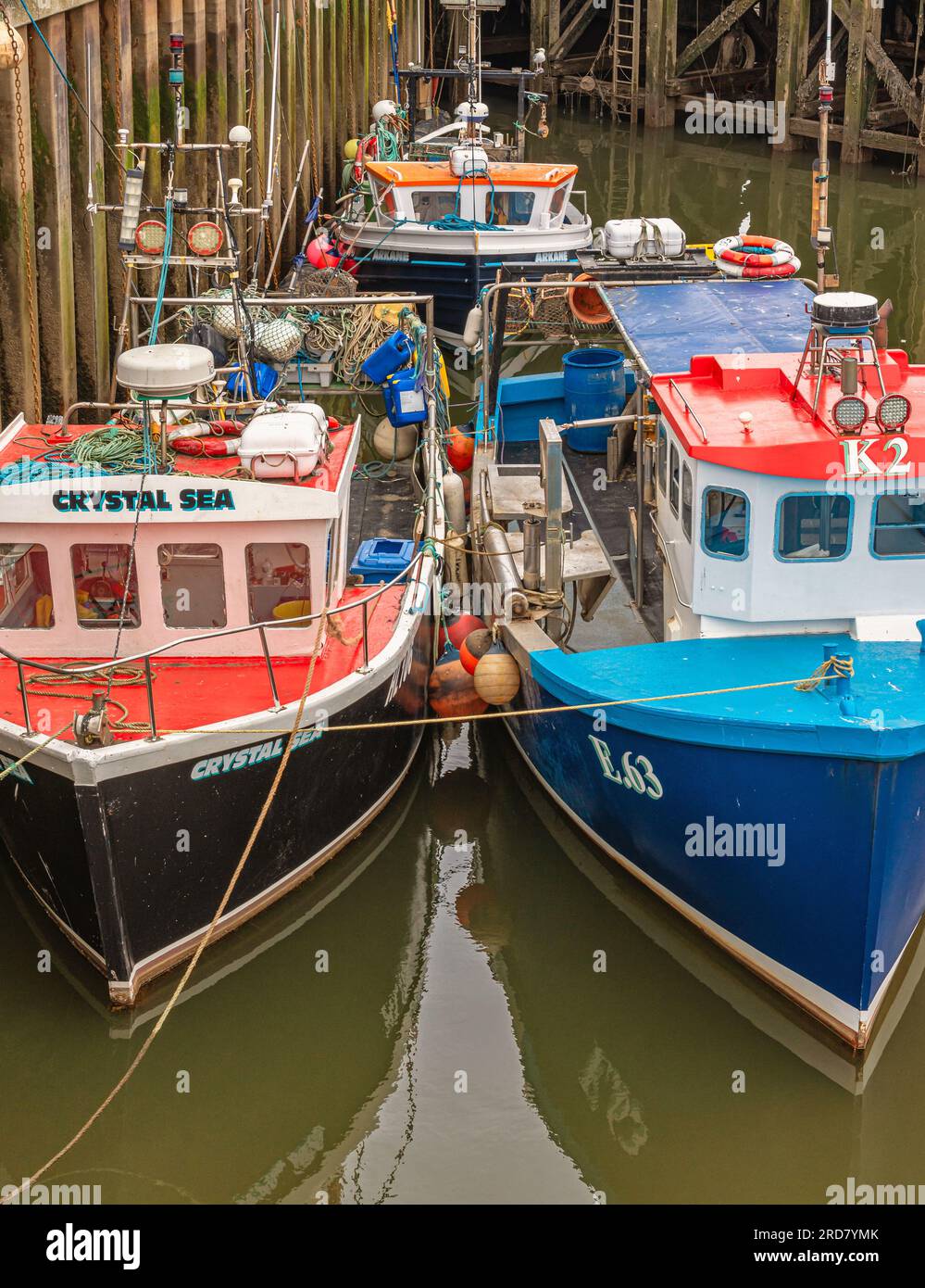 Sterns form hi-res stock photography and images - Alamy