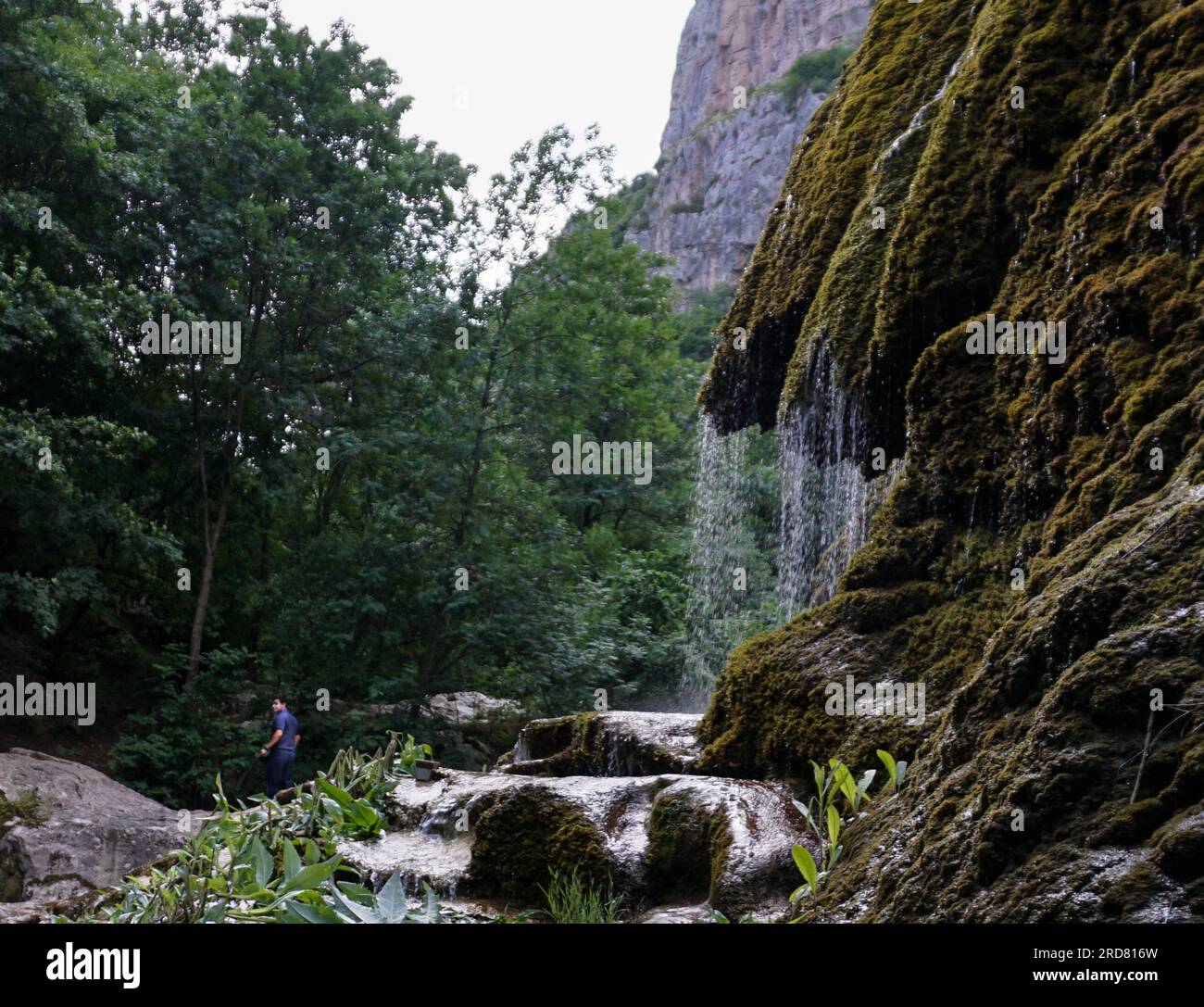 Honut hi-res stock photography and images - Alamy