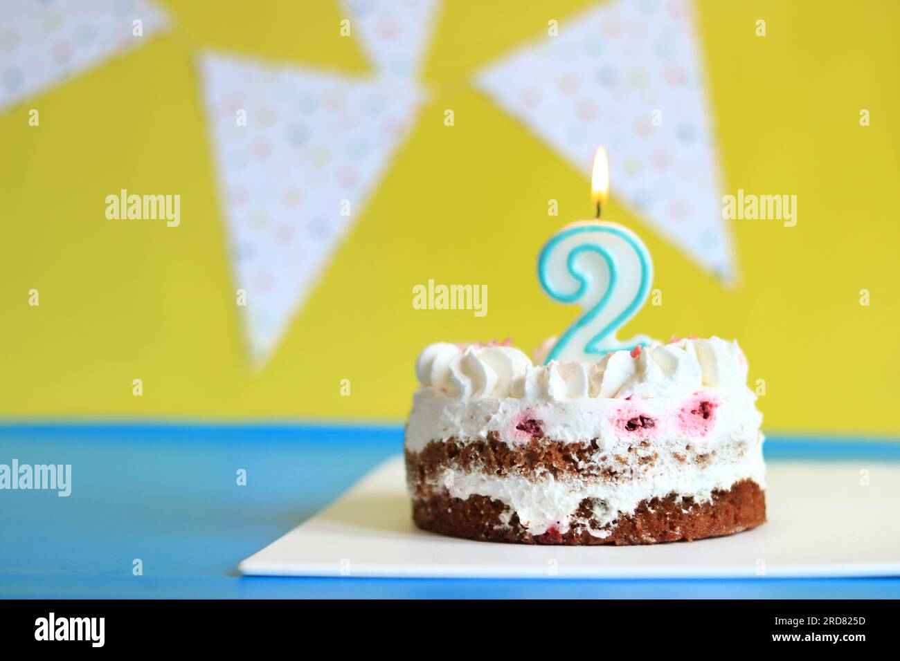 Celebration cake with a lit birthday candle. Cake for the second ...