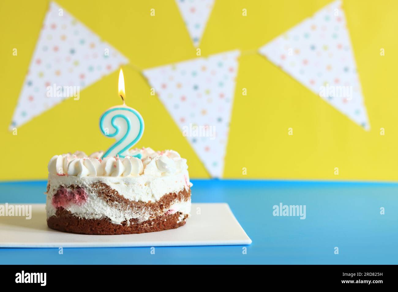 Celebration cake with a lit birthday candle. Cake for the second ...