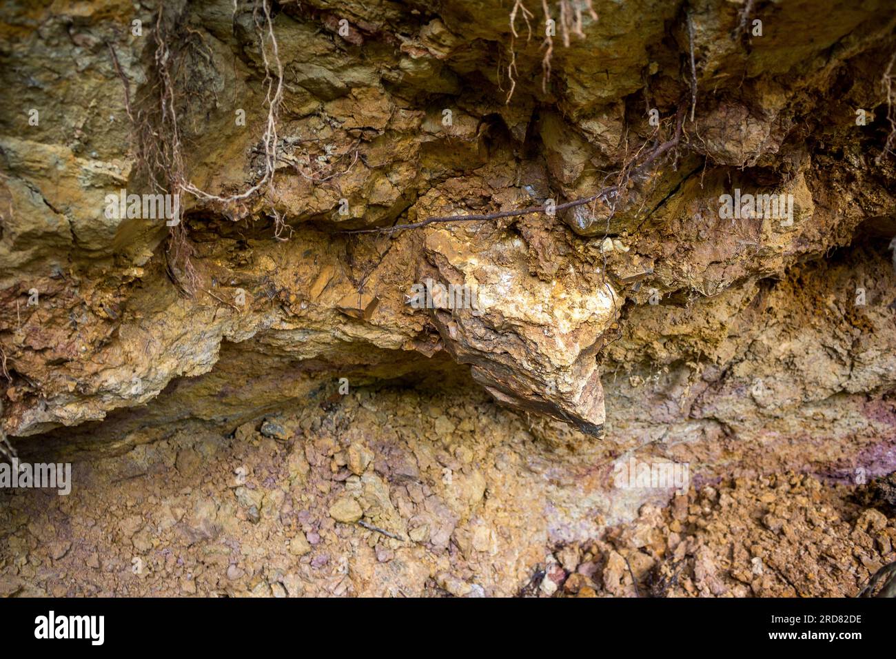 Flint in an outcrop of clay in a ravine close Stock Photo - Alamy