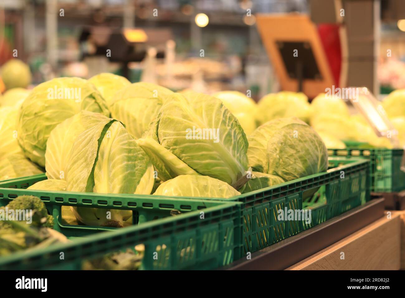 White cabbage in the store, close-up. Pile of cabbage on the ...