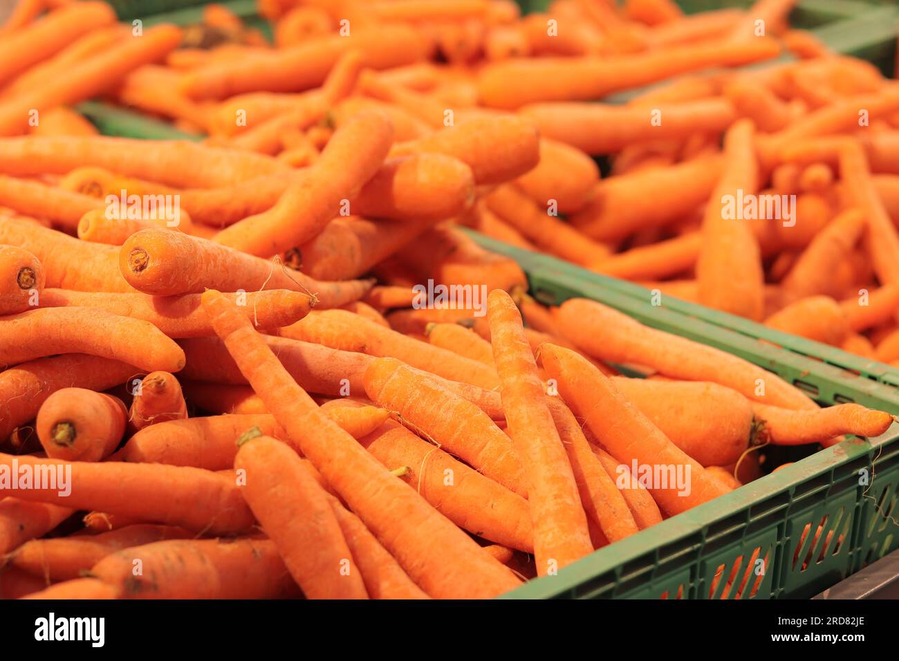 Sale of washed carrots in plastic boxes. Sale of carrots, selective ...