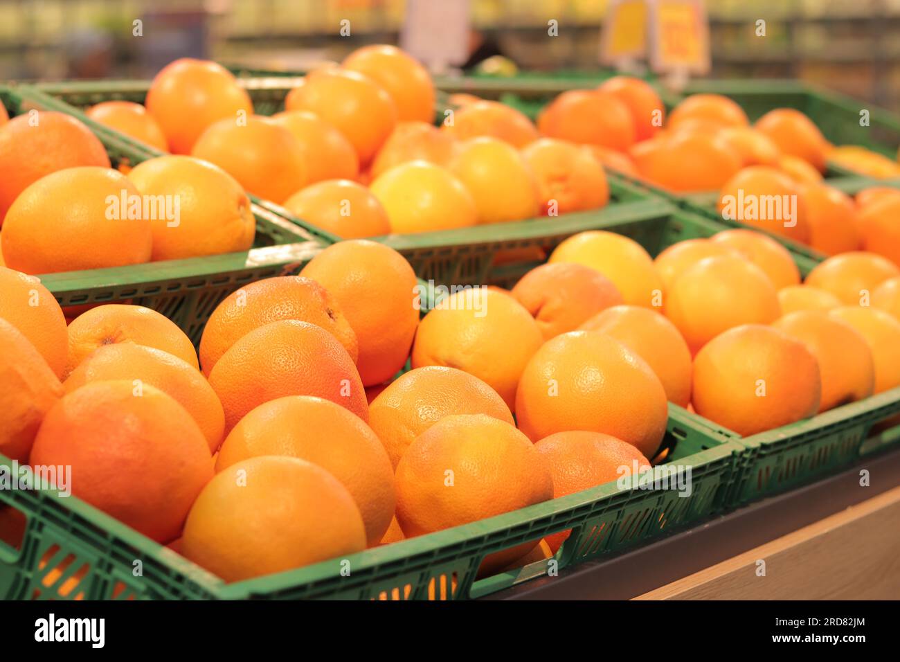 Sale of fruits in the store, grapefruit in plastic boxes. Grapefruit ...
