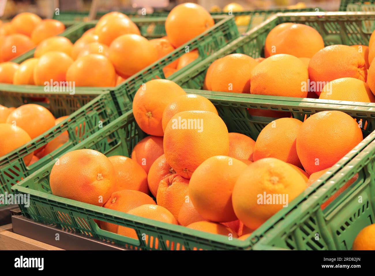Sale of fruits in the store, grapefruit in plastic boxes. Grapefruit ...