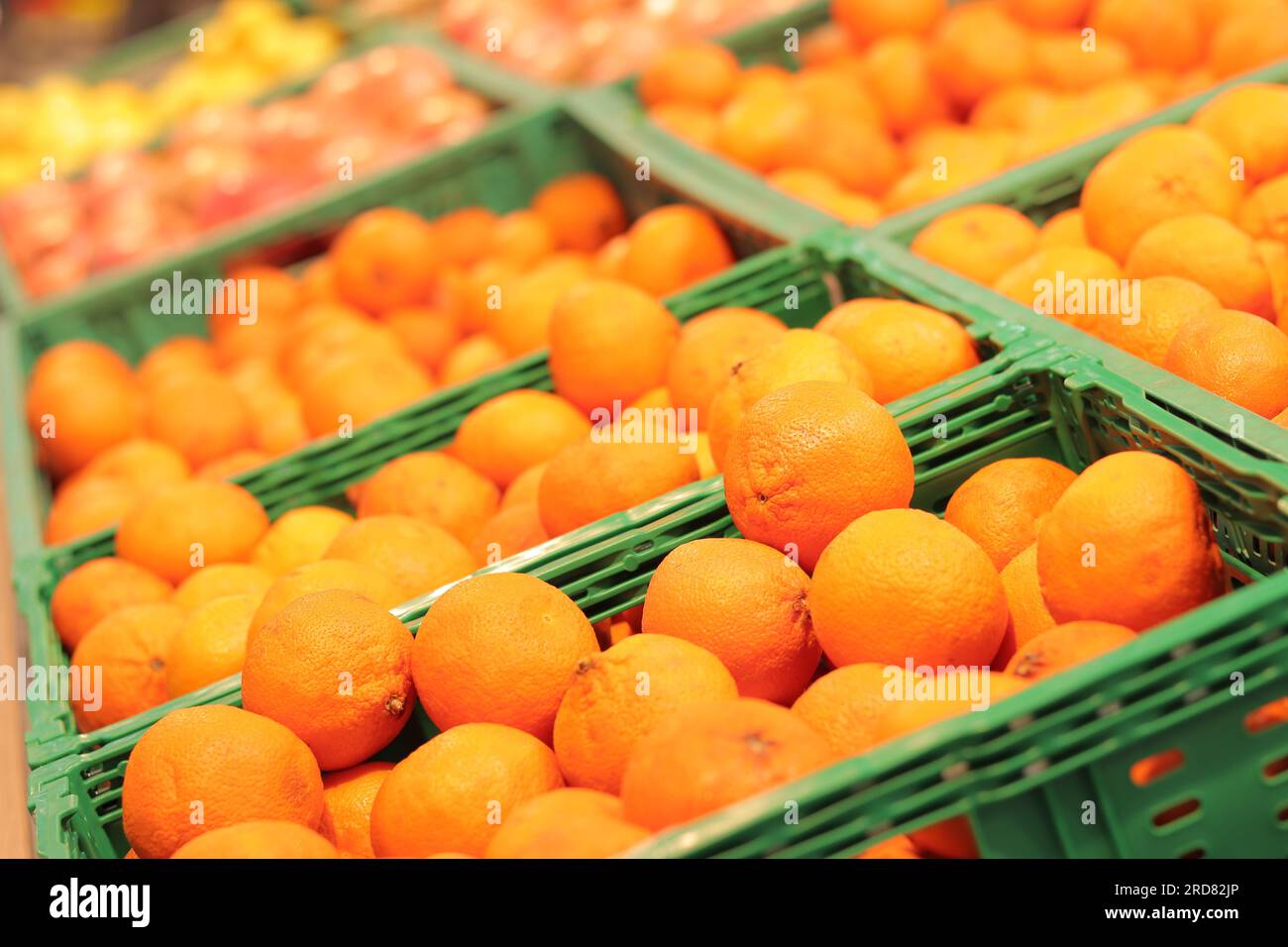 Sale of oranges in the supermarket. Citrus fruits in plastic boxes ...