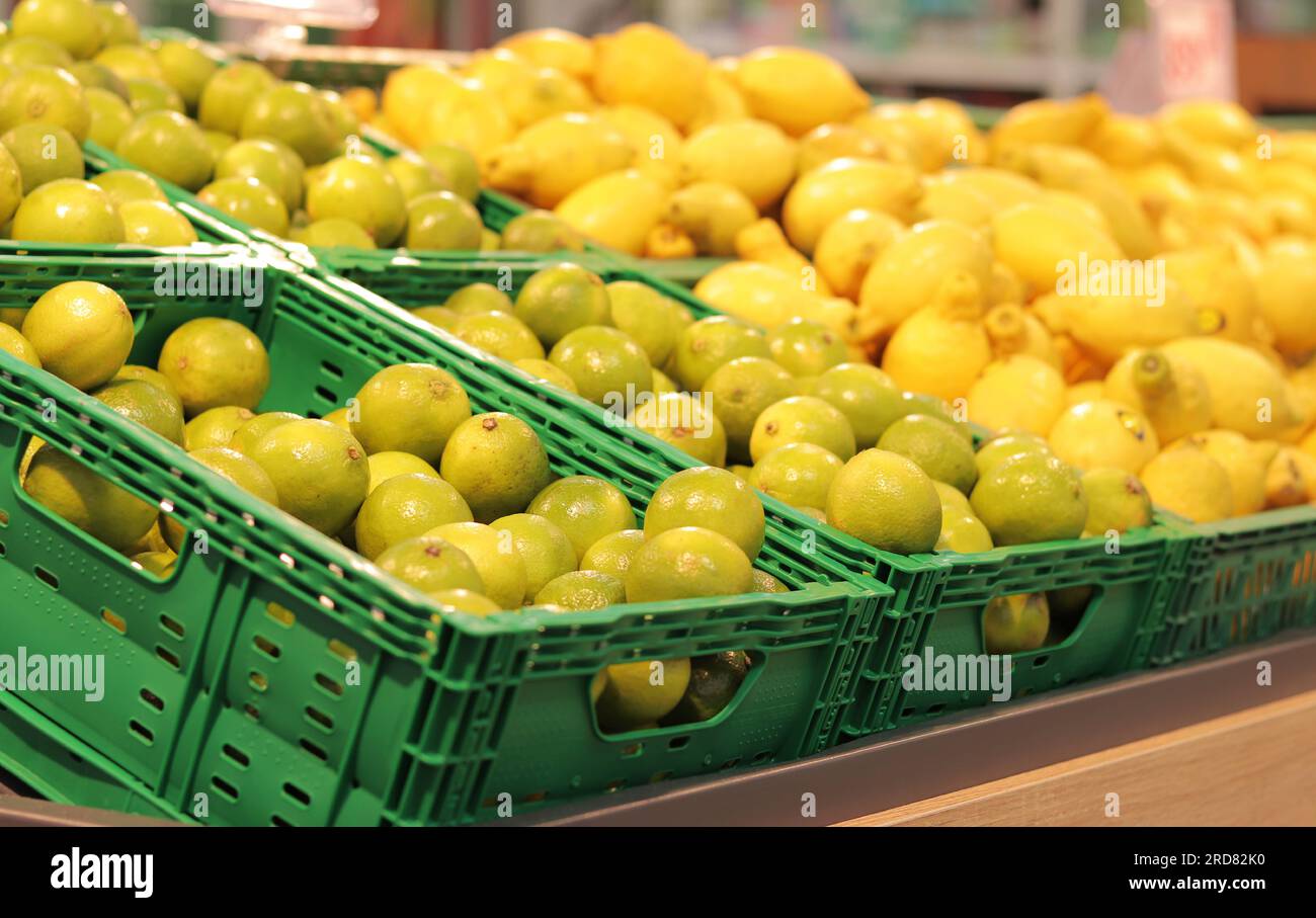 Sale of fruits in the store, limes in plastic boxes. Sale of limes and ...