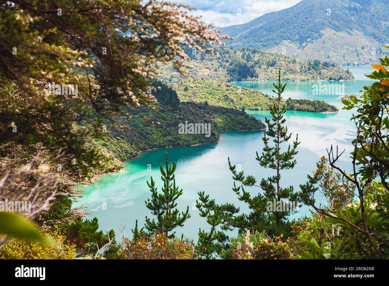 View over the Te Mahia Bay of Kenepuru Sound from the Queen Charlotte ...