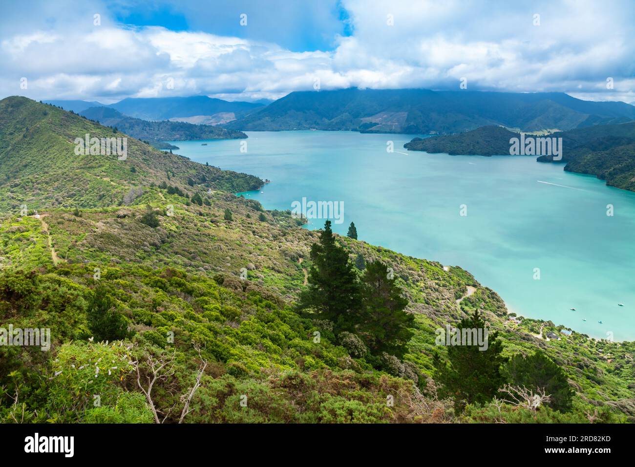 View over the Kenepuru Sound from the Queen Charlotte Track, one of the ...
