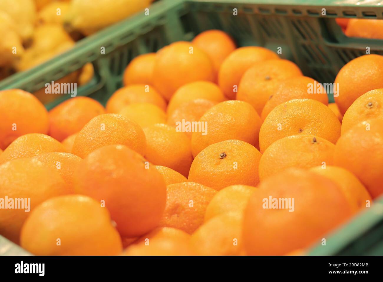 Sale of oranges in the supermarket. Citrus fruits in plastic boxes ...