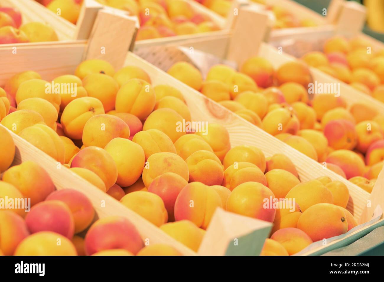 Sale of apricots in the store. Apricots in wooden boxes in the ...