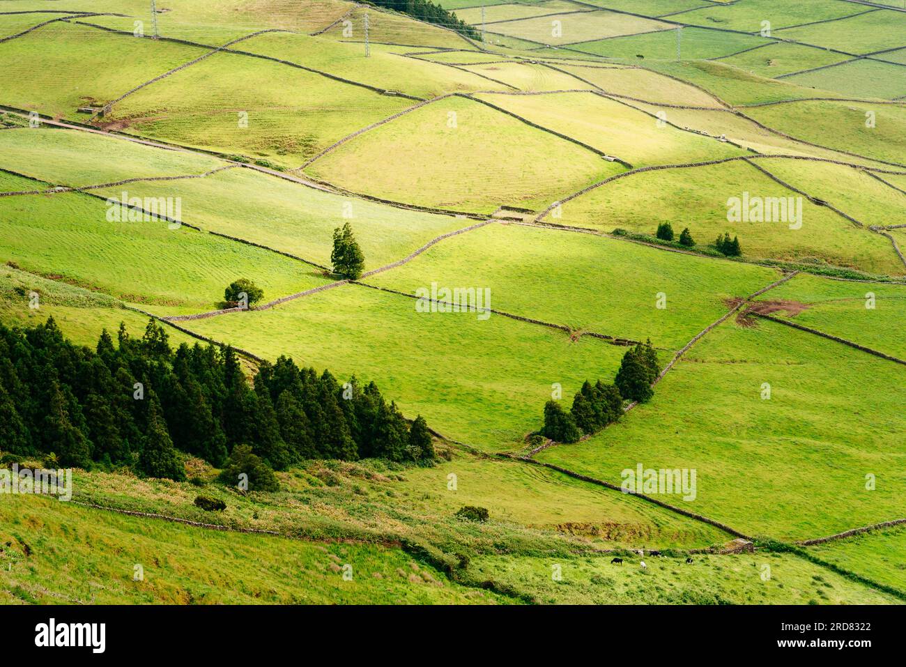 Empty plot of land hi-res stock photography and images - Alamy