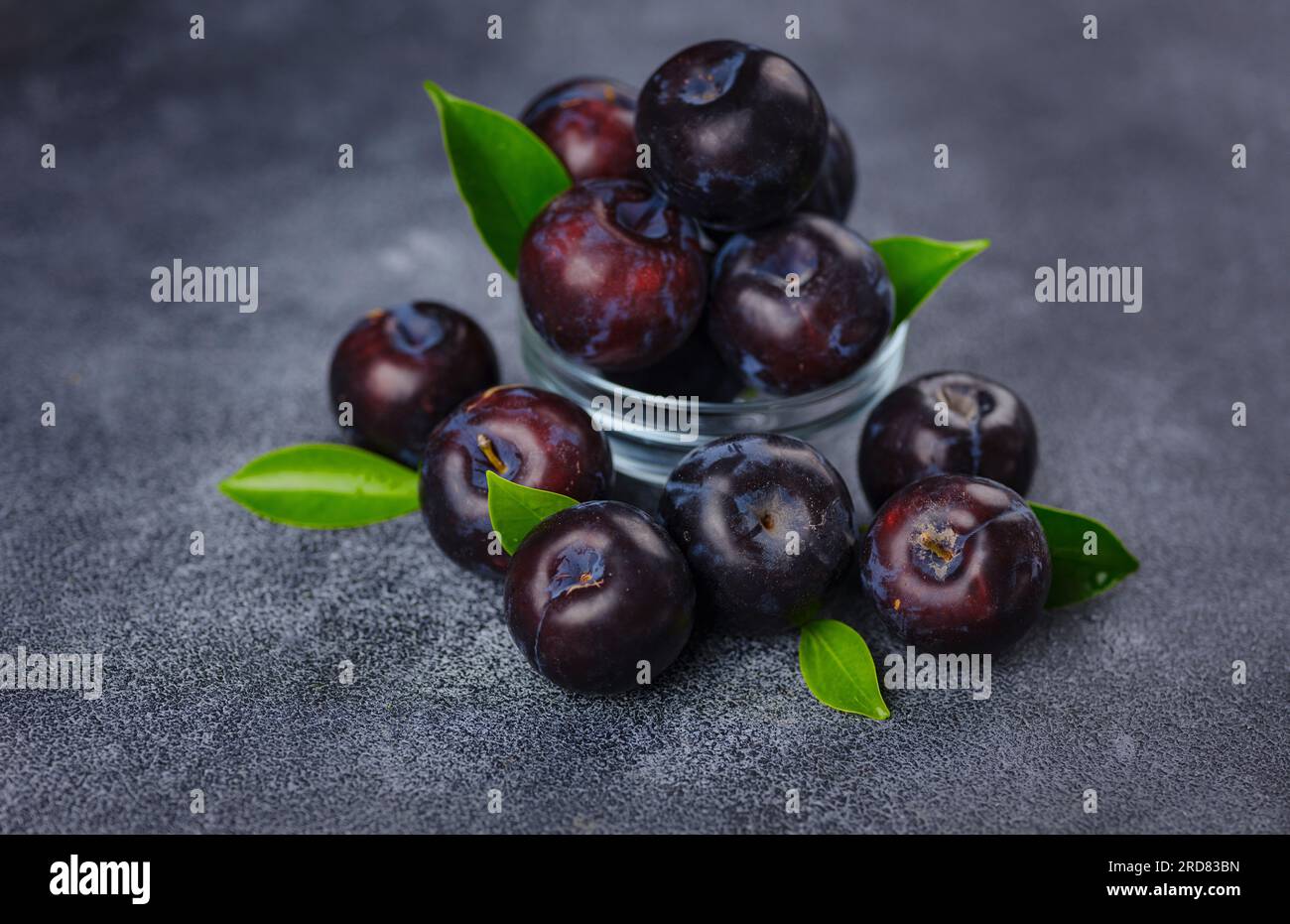 Sweet plums on dark background. Fresh blue plums with leaves. Food ...