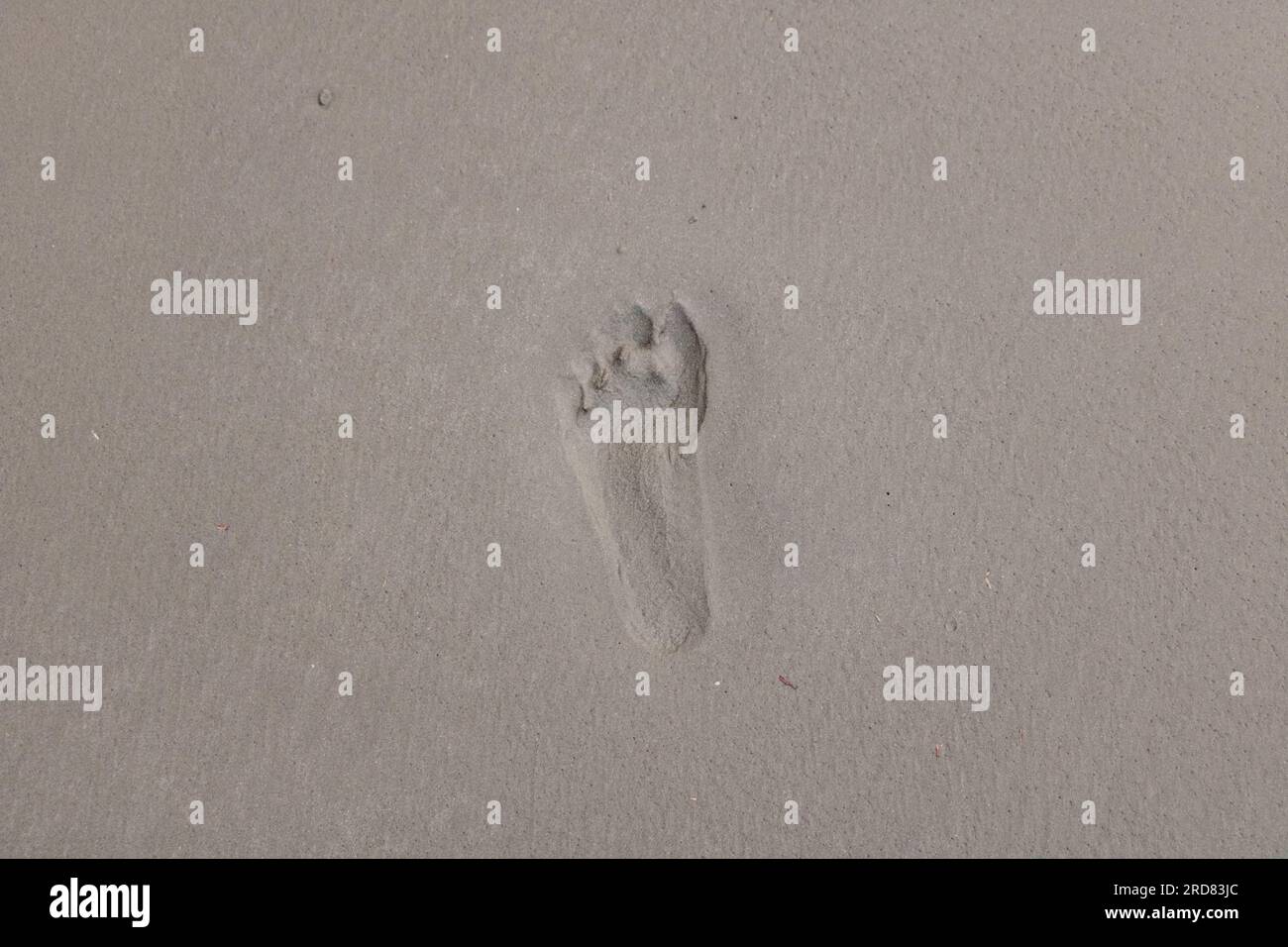 Memory footprint hi-res stock photography and images - Alamy