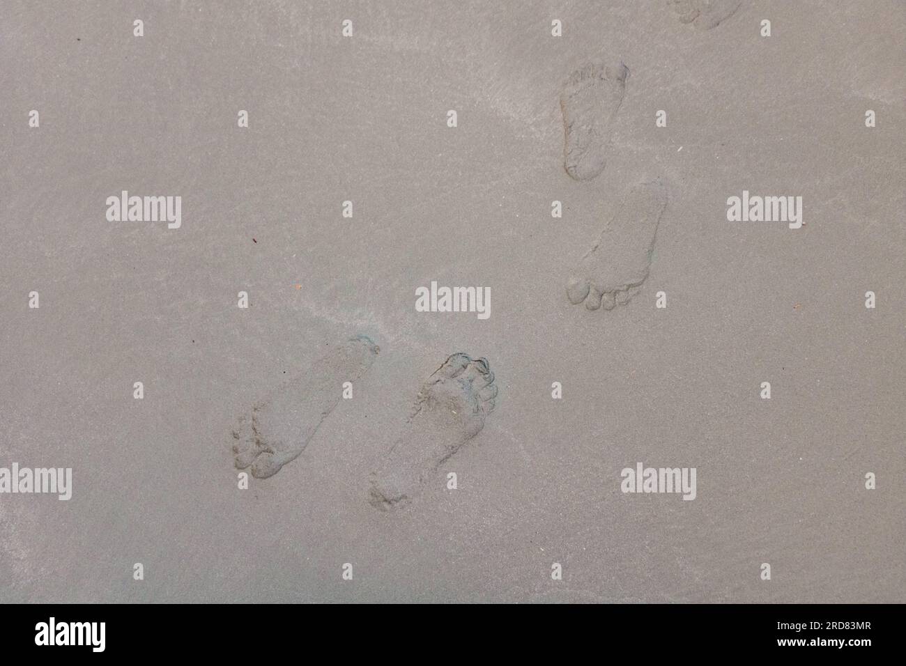 footprints path in the sand Stock Photo - Alamy