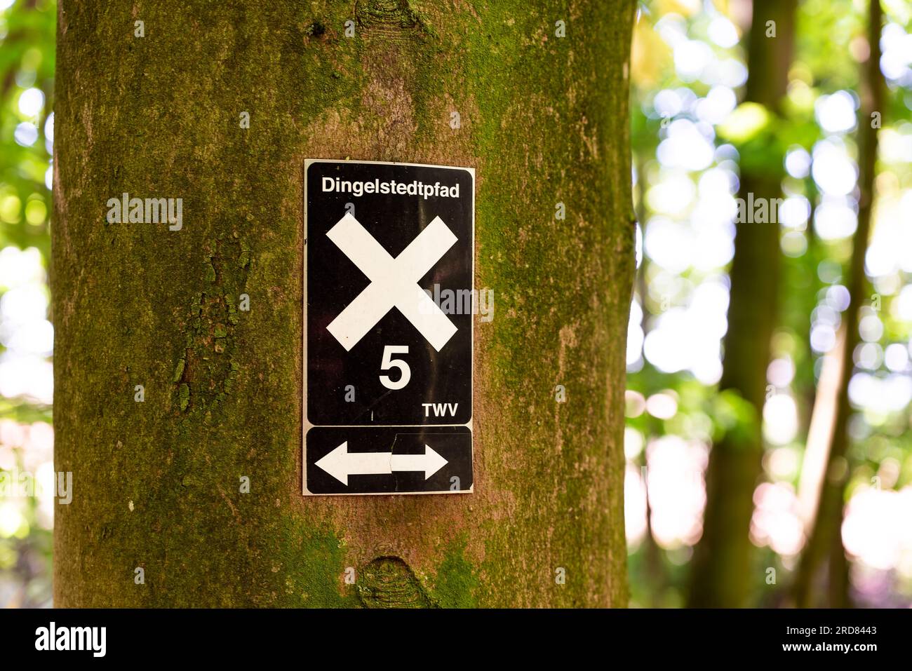 Dingelstedtpfad hi-res stock photography and images - Alamy