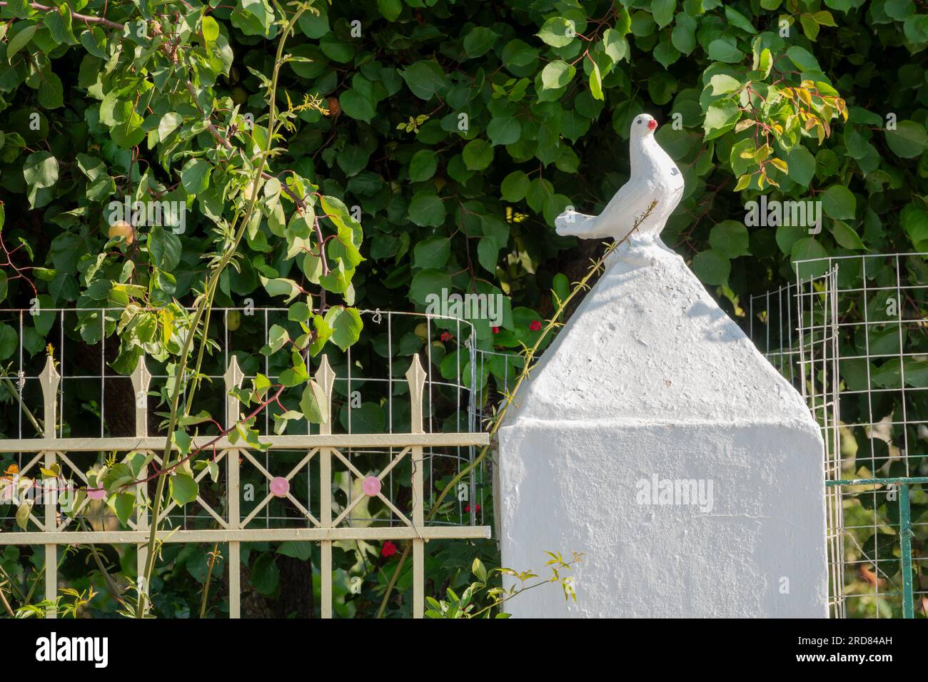 Stone dove painted white atop a large white stone gate post, Kefalonia ...