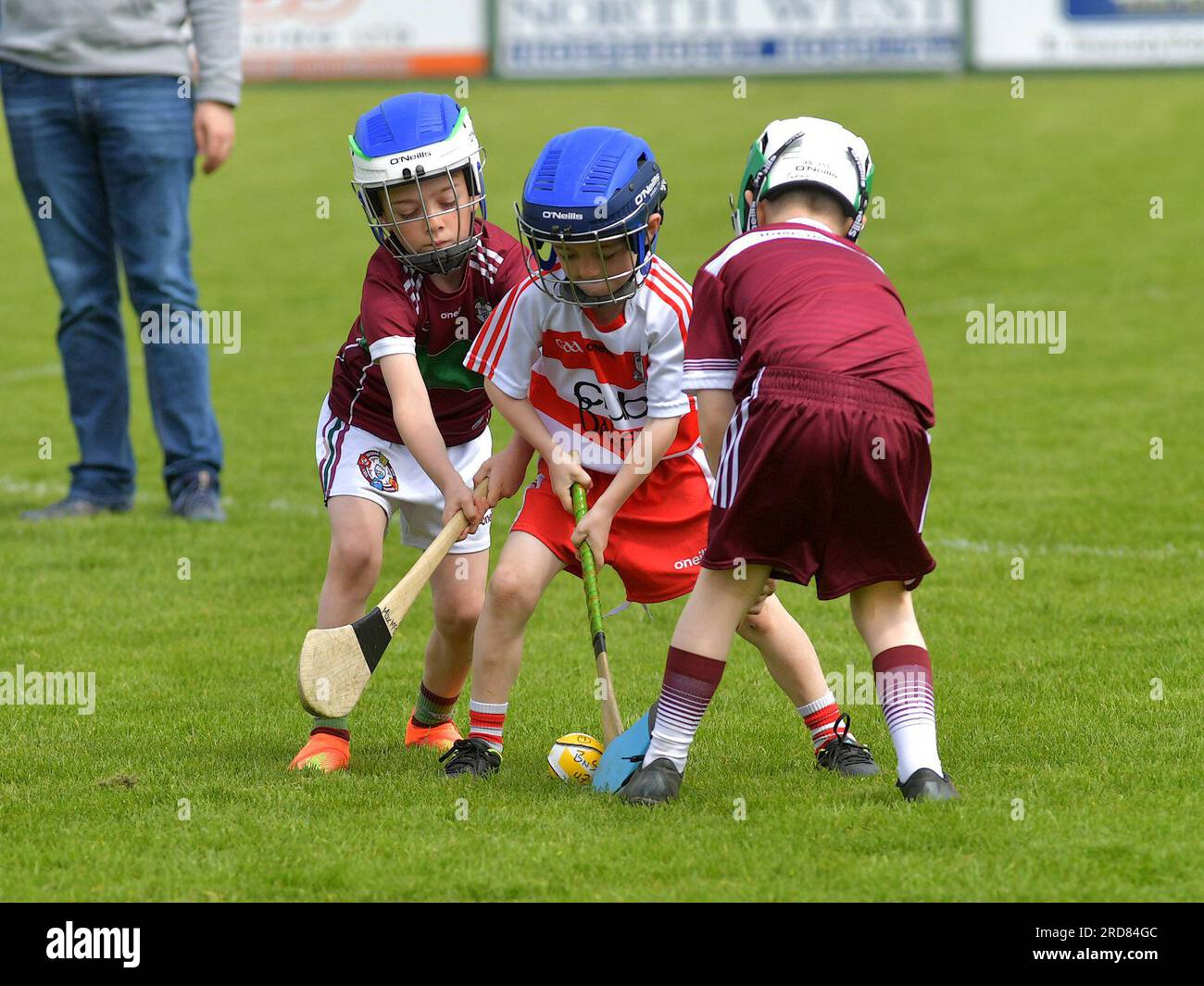 Primary school children playing hurling at Owenbeg Centre of Excellence ...