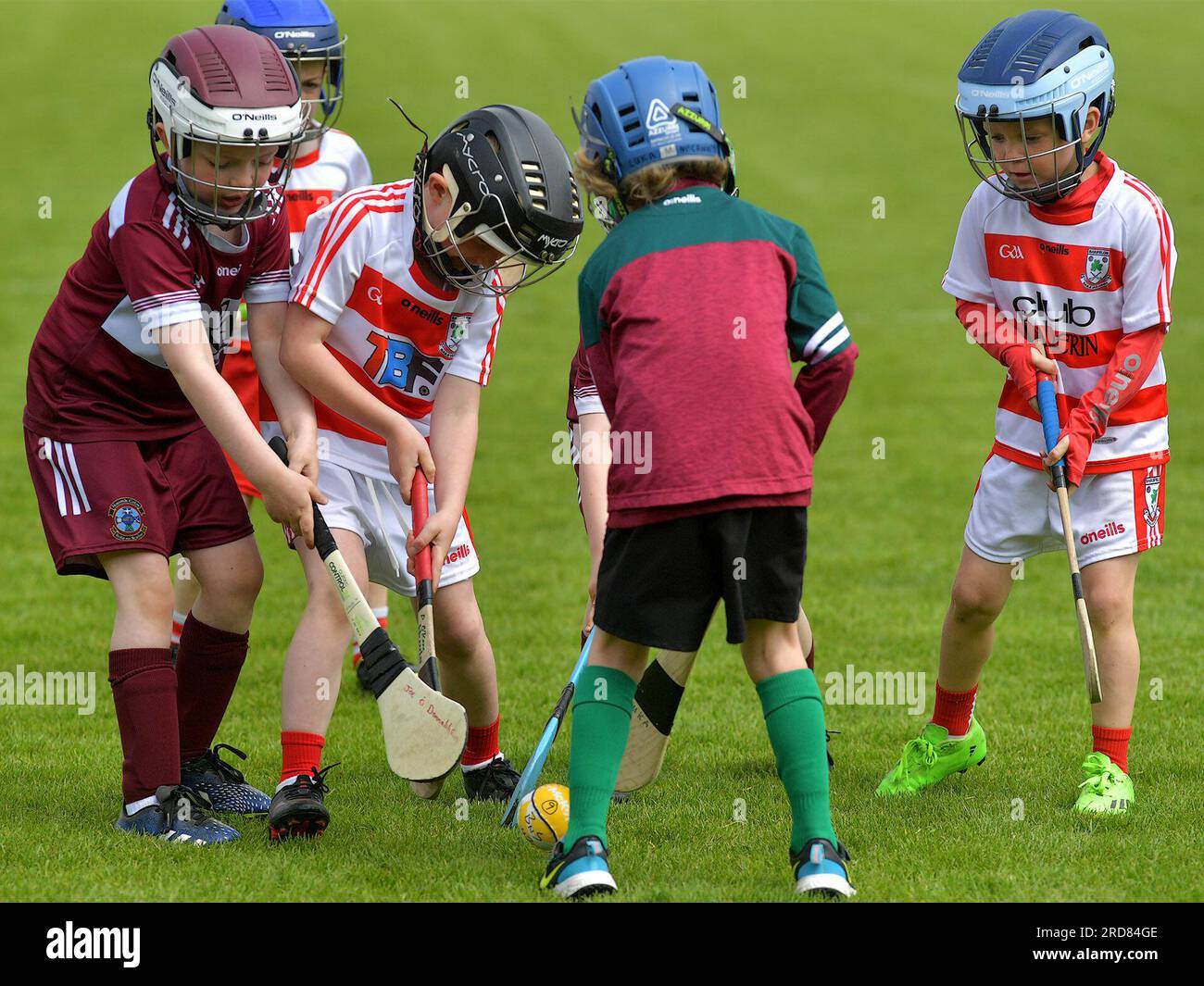 Primary school children playing hurling at Owenbeg Centre of Excellence ...