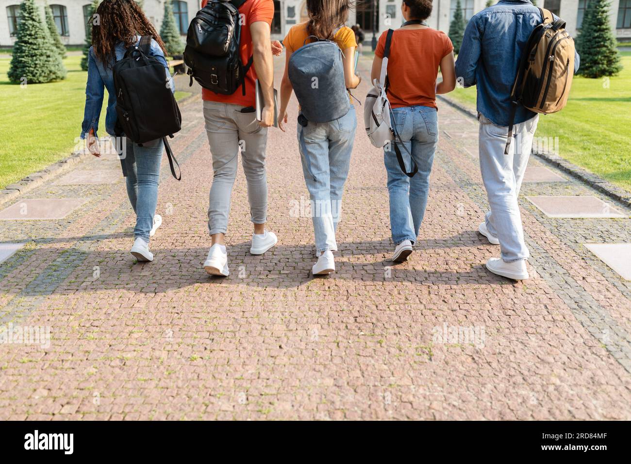 Group of students walking in college campus after classes, rear view ...