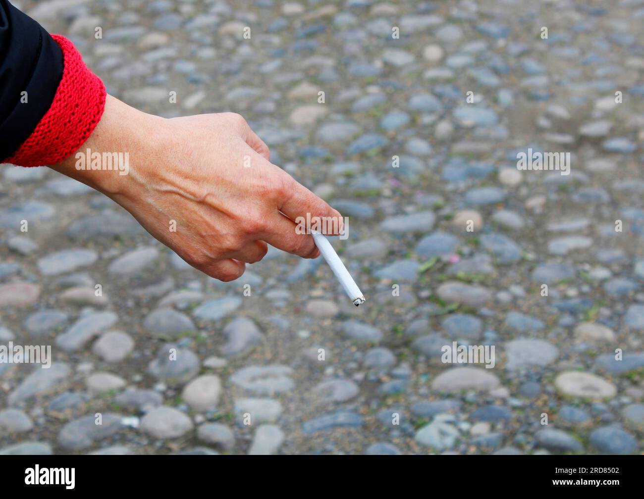 Hand holding a lit cigar Stock Photo - Alamy
