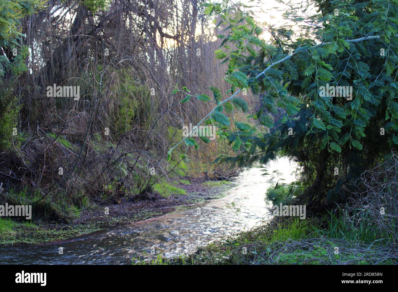 Rural irrigation hi-res stock photography and images - Alamy