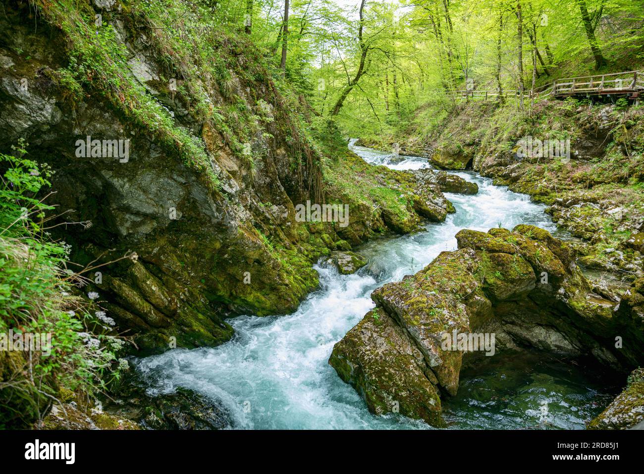 the vintgar gorge in Solvenia, a nature park with waterfalls and green ...