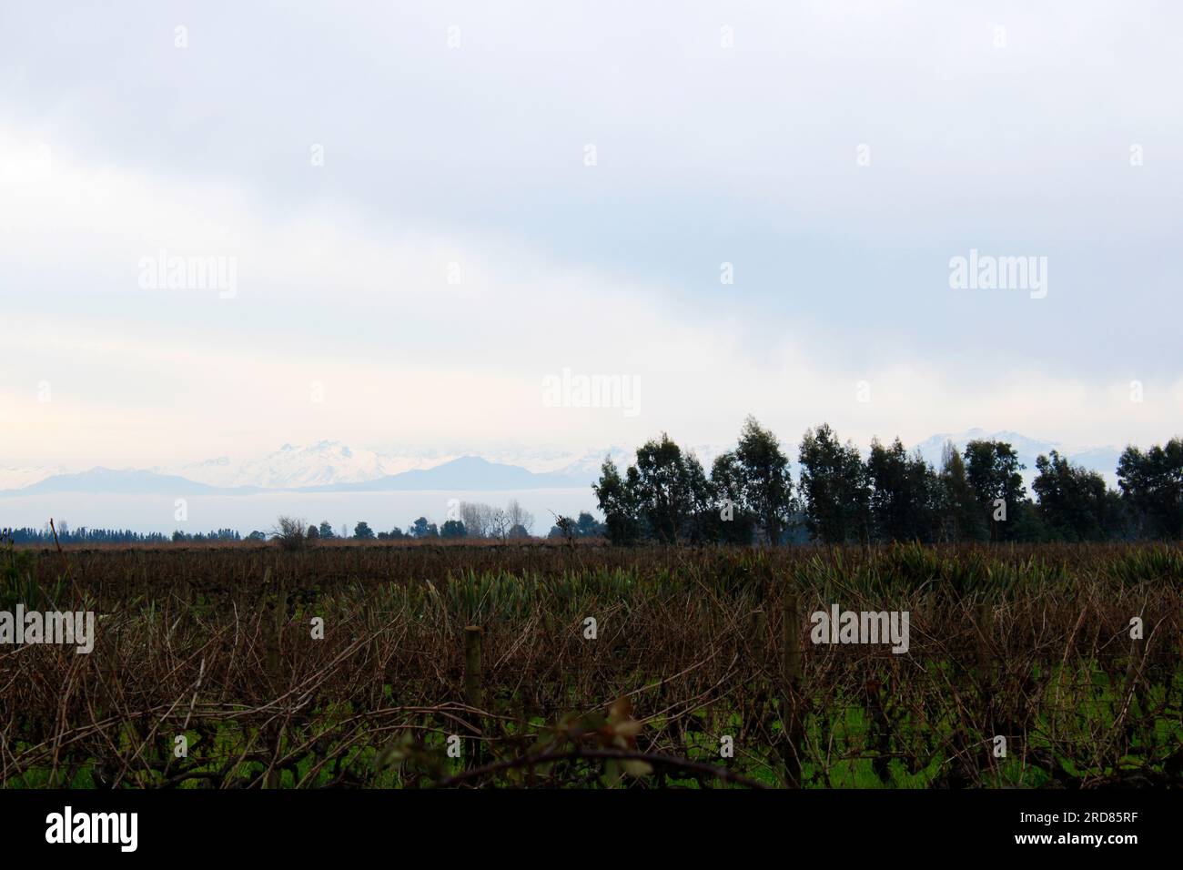 Season export hi-res stock photography and images - Alamy