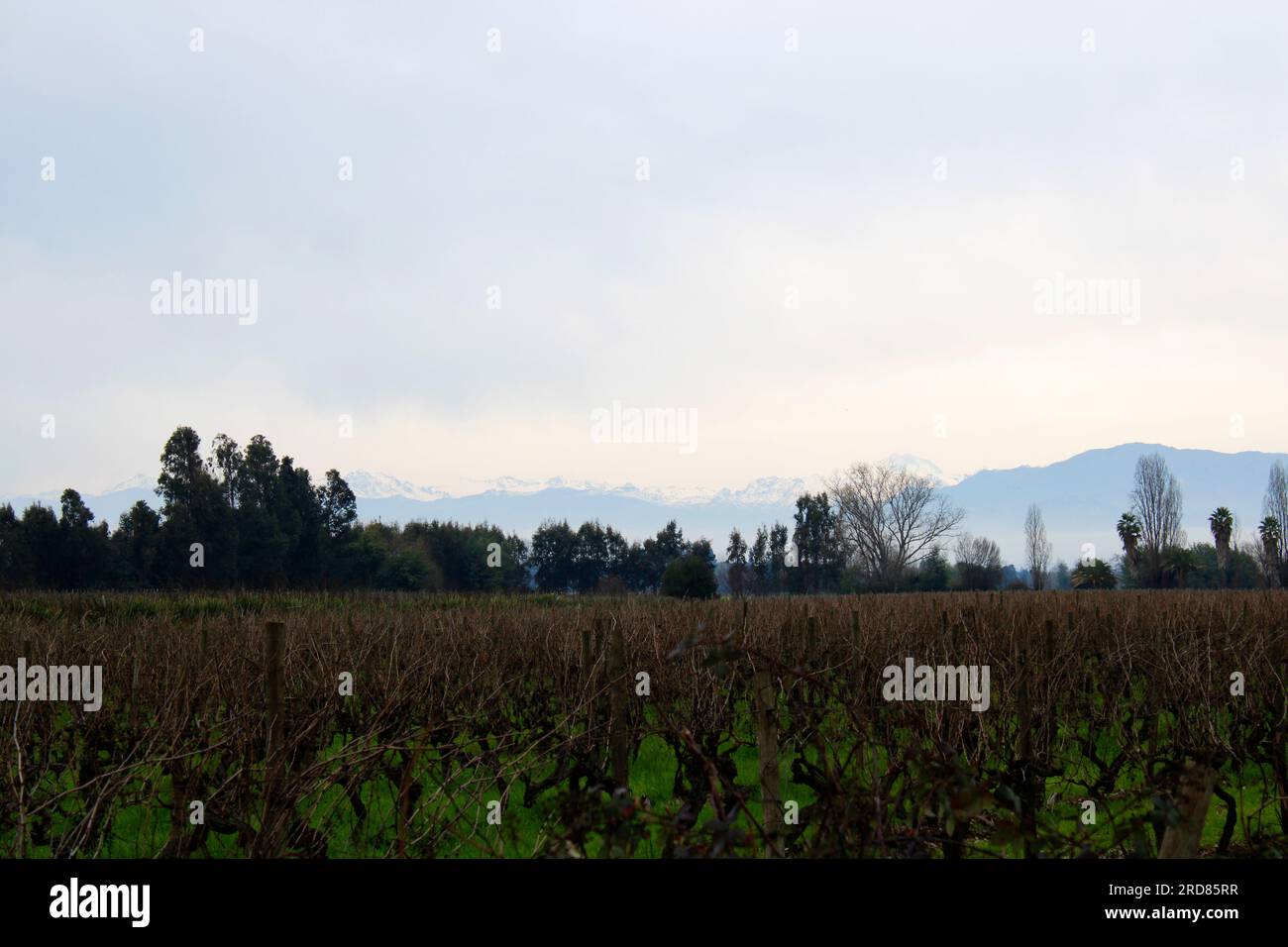 Season export hi-res stock photography and images - Alamy