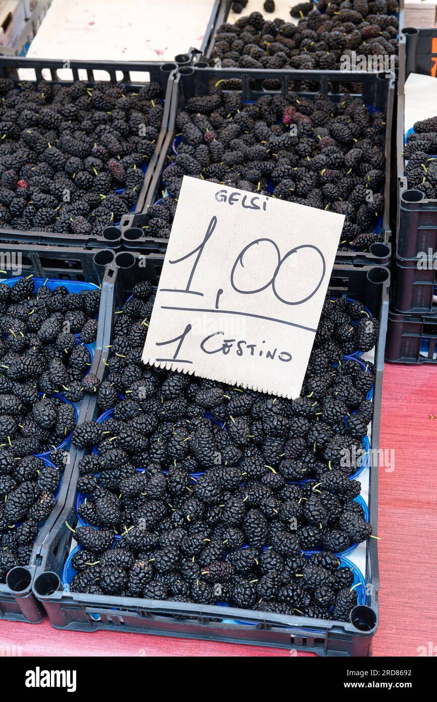 Fresh mulberries sold at a market in Italy (translation: gelsi) with ...