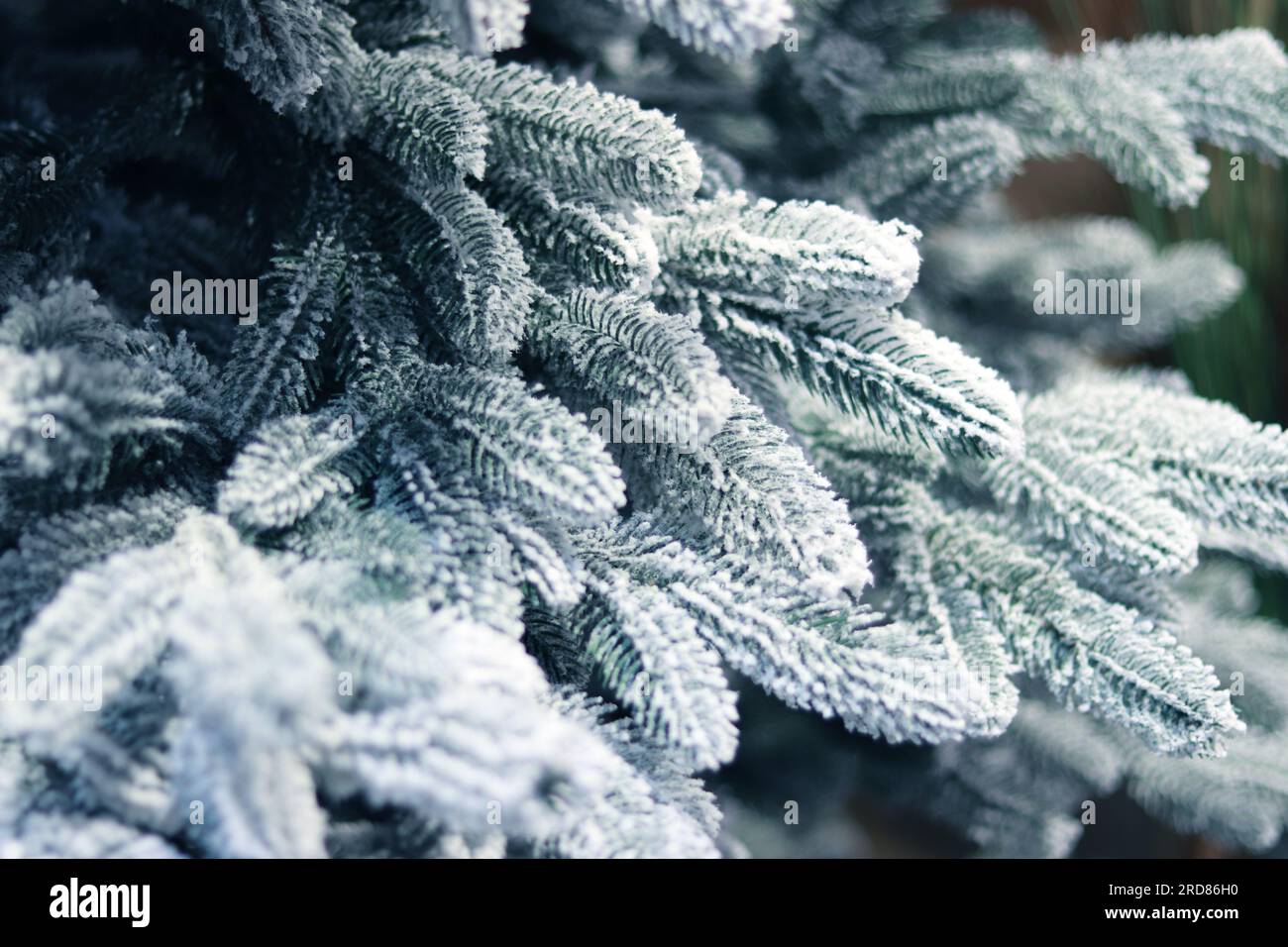 Plastic fir tree hi-res stock photography and images - Alamy