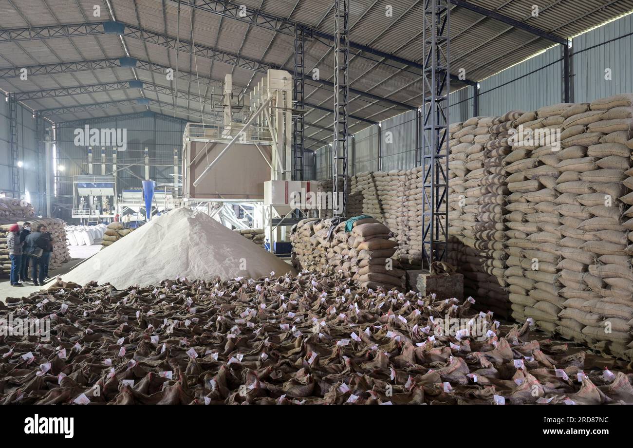 INDIA, Punjab, Kapurthala, rice mill, processing of Basmati and other ...
