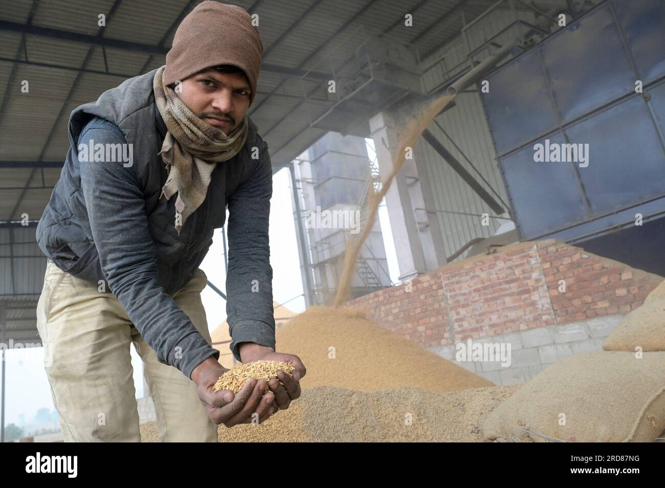 INDIA, Punjab, Kapurthala, rice mill, processing of Basmati and other ...