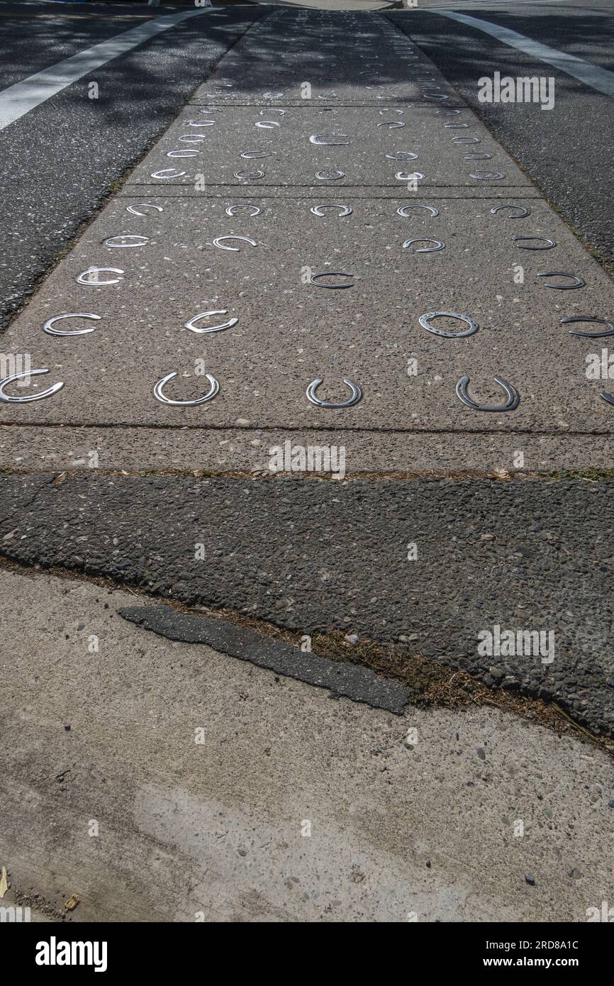 Horseshoes embedded in a crosswalk in Ballard, California in the Santa ...