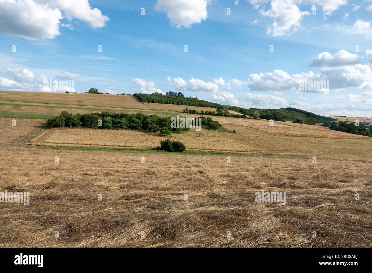 Cornfield drone footage hi-res stock photography and images - Alamy